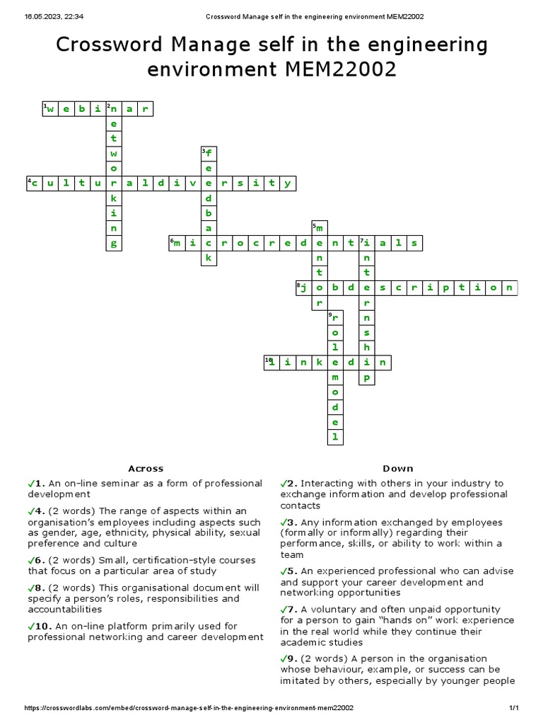 Crossword Manage Self in The Engineering Environment | PDF