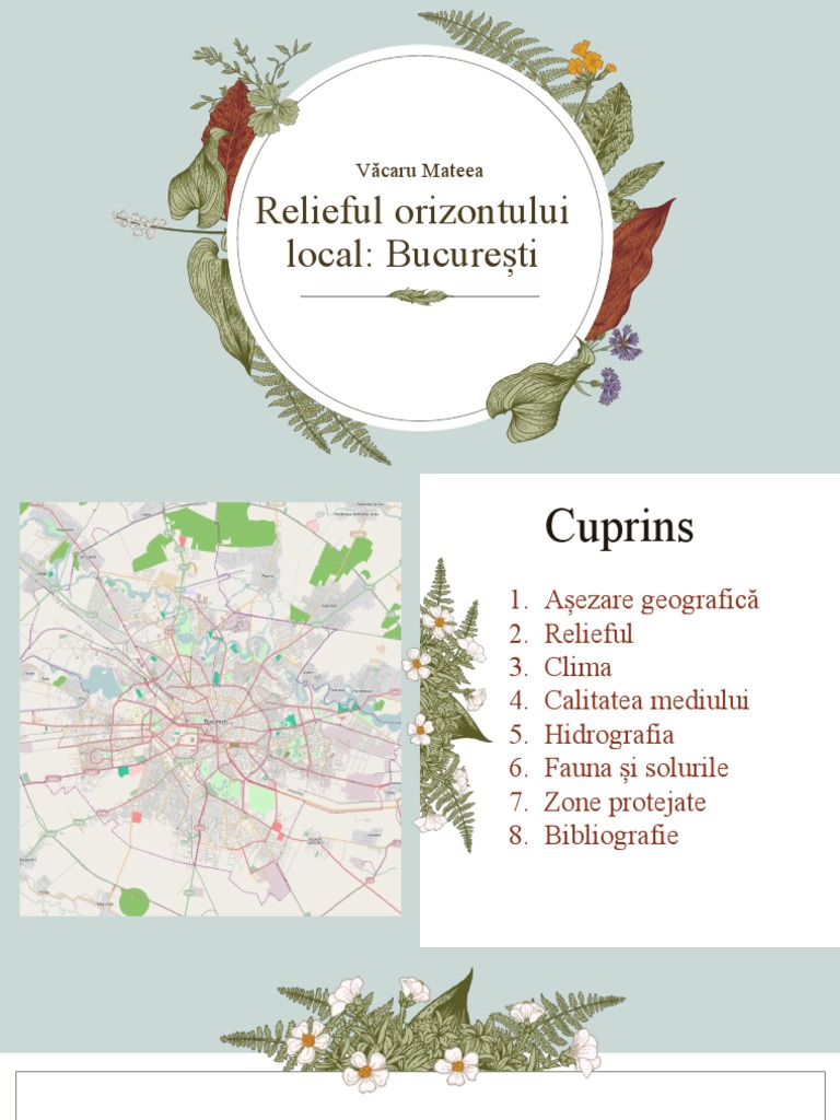 Relieful Orizontului Local | PDF