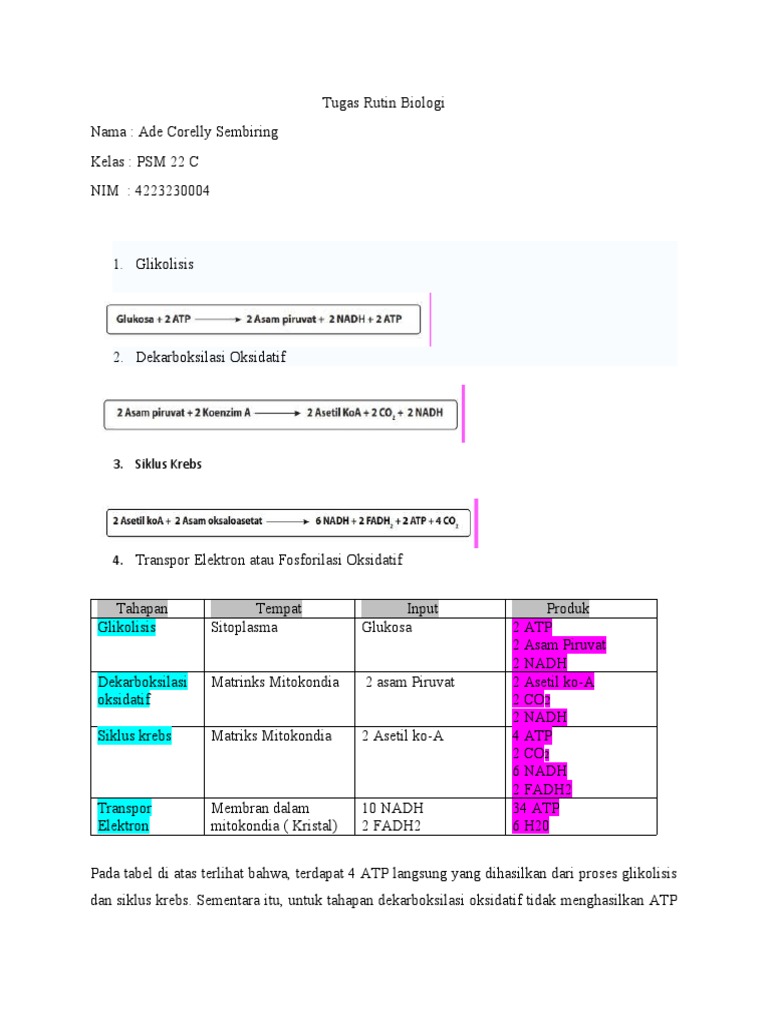 Tugas Rutin 3 Biologi | PDF