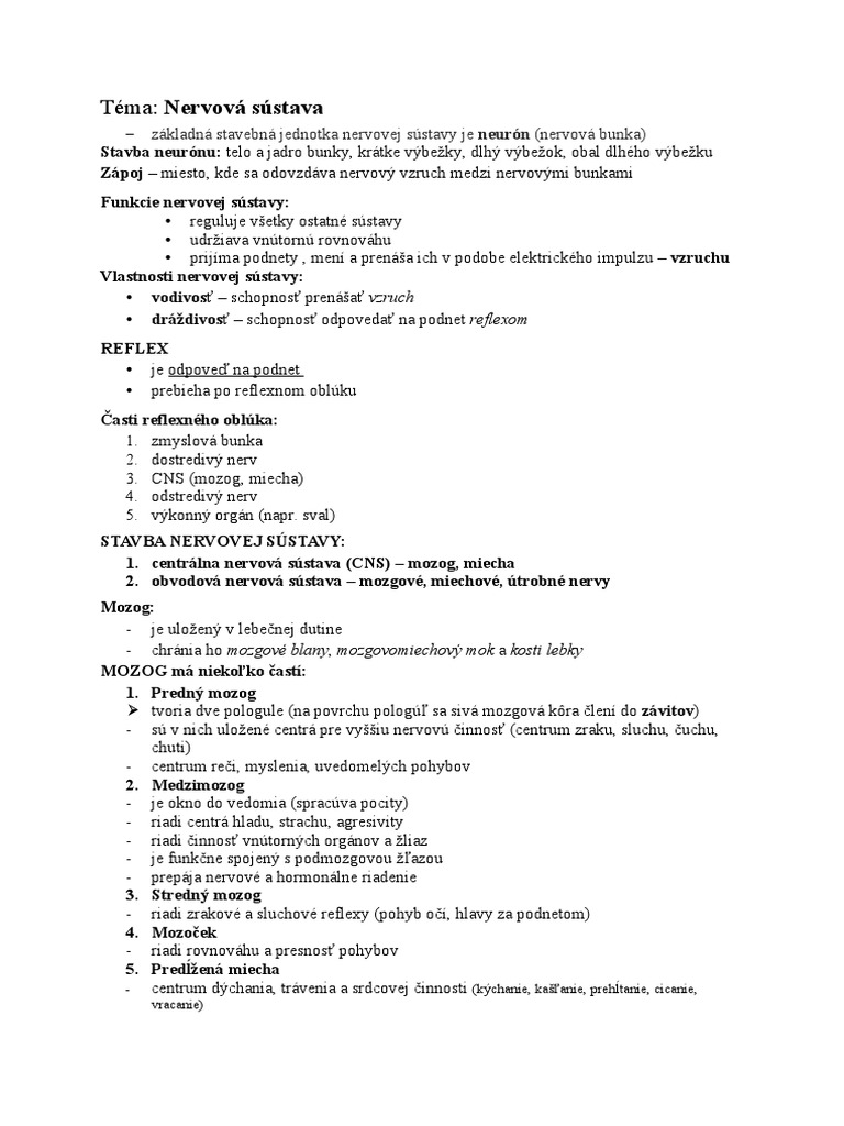 CLOVEK - Nervová - Sústava - Poznámky | PDF
