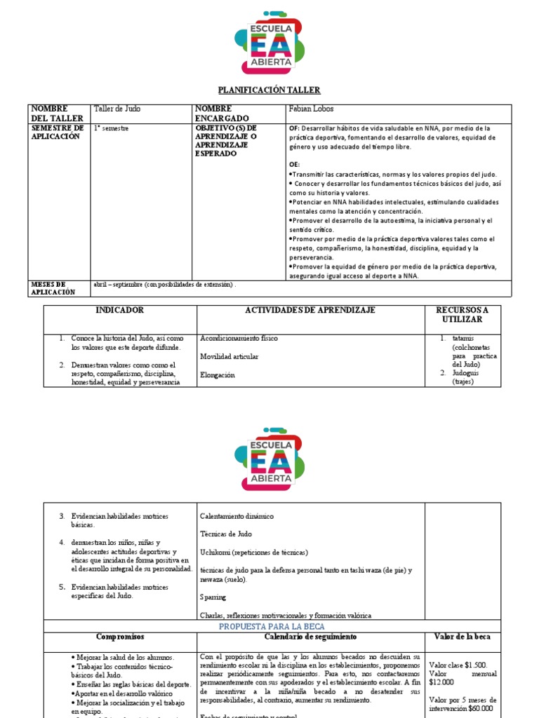 PLANIFICACIÓN Judo | PDF | Judo | Aprendizaje