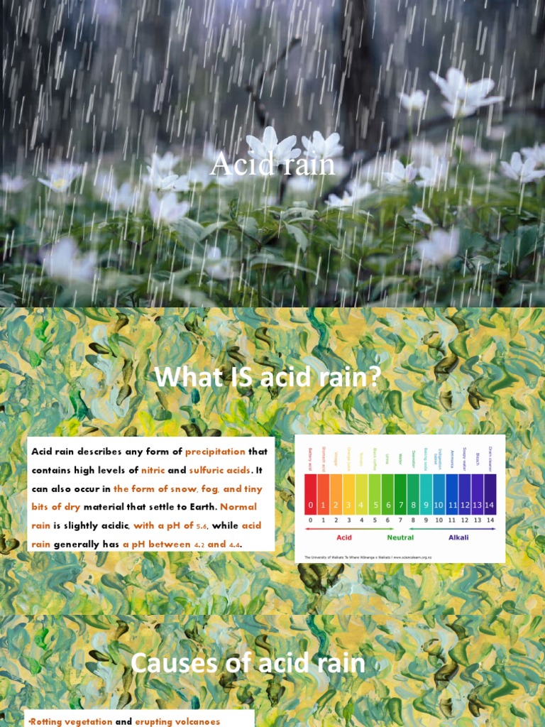 Acid Rain | PDF | Soil | Rain