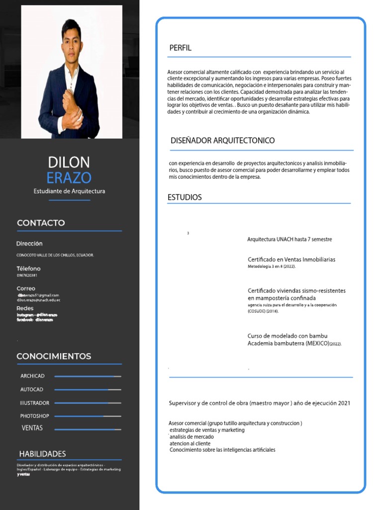 Curriculum DILON Asesor Comercial 1 | PDF