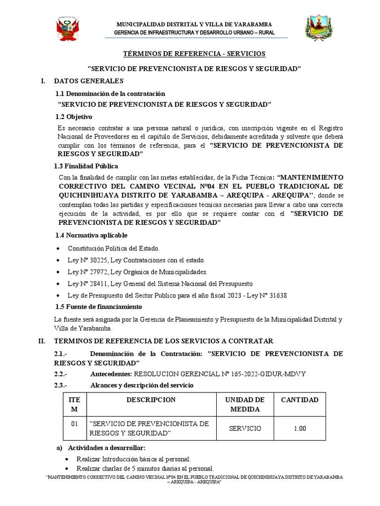 TDR - Prevencionista de Riesgos | PDF