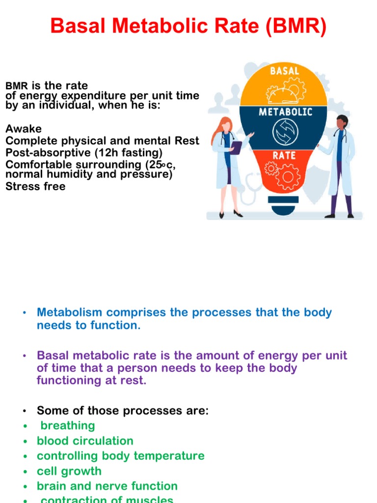 Basal Metabolic Rate (BMR) : Is The Rate of Energy Expenditure Per Unit ...