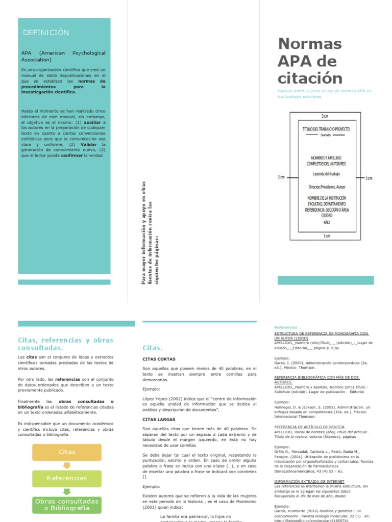 Triptico - APA | PDF