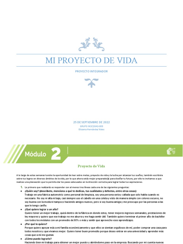 Proyecto Integrador Módulo 2 Mi Proyecto De Vida Pdf Internet