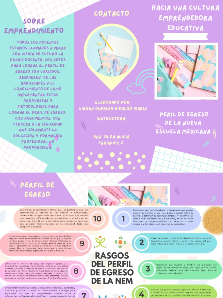 Triptico - Perfil Egreso Nem | PDF