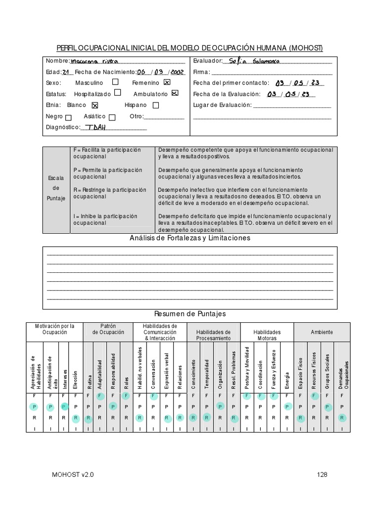 MOHOST - Instrumento | PDF
