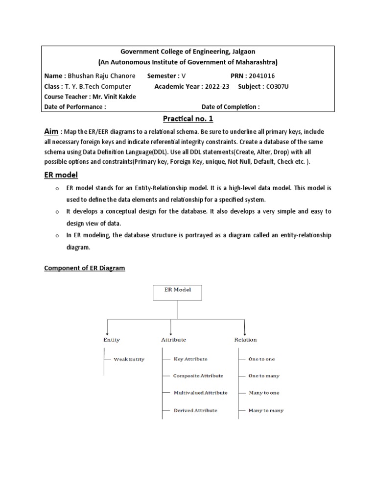 Practical 1 | PDF | Computer Data | Information Management