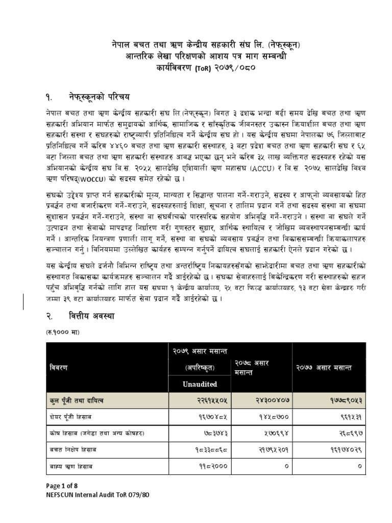 Internal Audit ToR 2079 80 | PDF | Corporate Governance