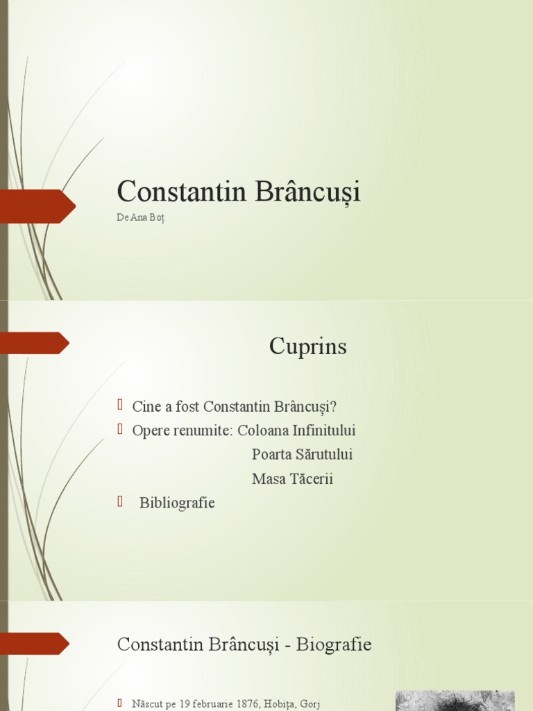 Constantin Brancusi | PDF