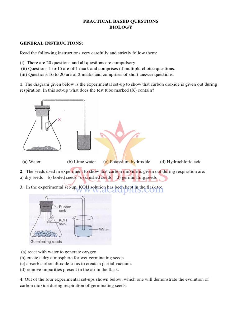 Science Practical Based Questions | PDF | Ph | Acid