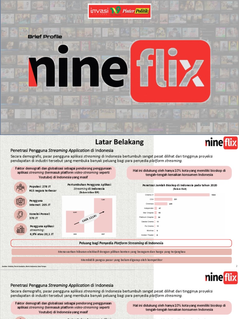 Nineflix Brief Profile | PDF