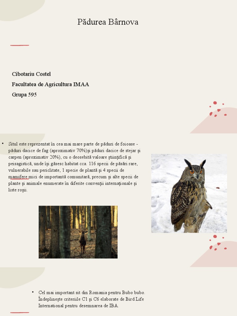 Padurea Barnova | PDF