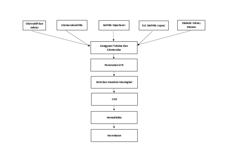 Pathway CKD | PDF