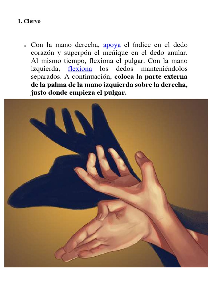 Figuras de Manos de Animales | PDF