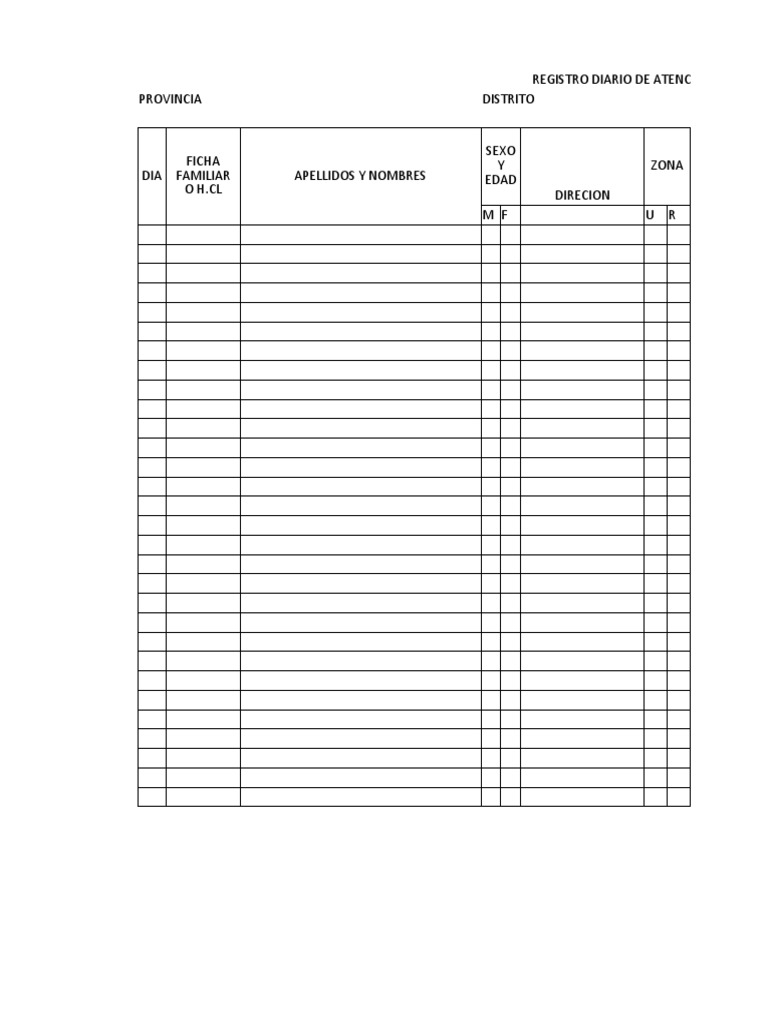 Registro Diario de Atencion de Pacientes | PDF
