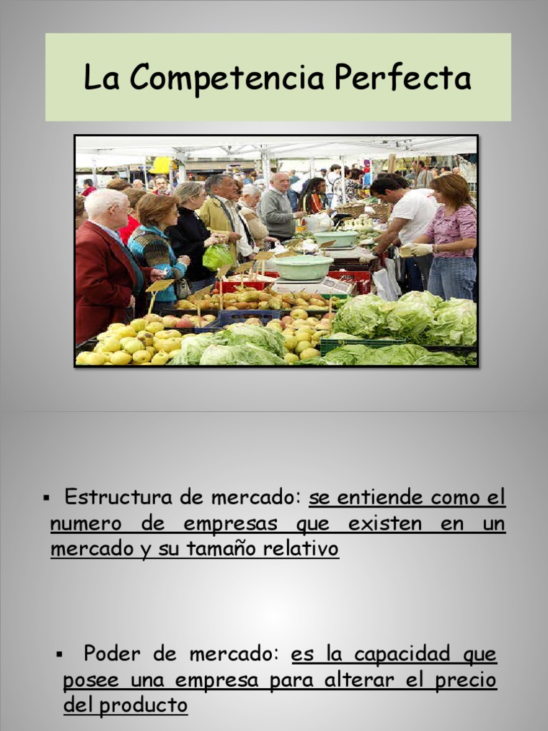 competencia perfecta | PDF | Monopolio | Mercado (economía)
