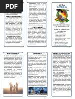 Qué Es Una Familia Sindiásmica | PDF | Ciencias sociales