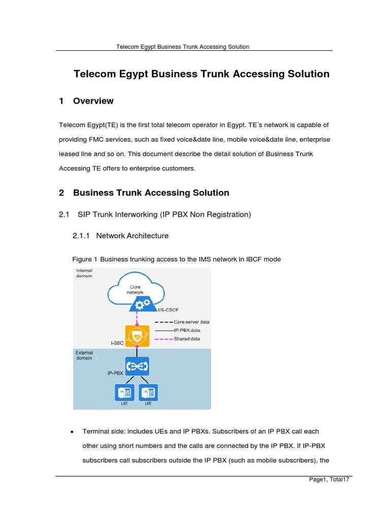 Telecom Egypt Business Trunk Accessing Solution v0.5 | PDF | Ip Multimedia Subsystem | Computer ...