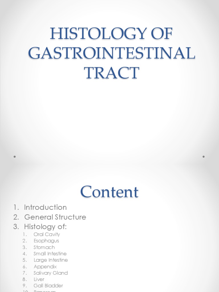 Histology of Git | Download Free PDF | Stomach | Epithelium