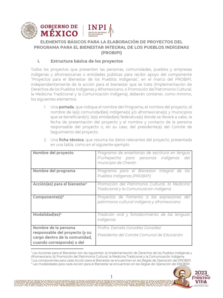 INPI Elementos Basicos para La Elaboracion de Proyectos Probipi 2023 | PDF