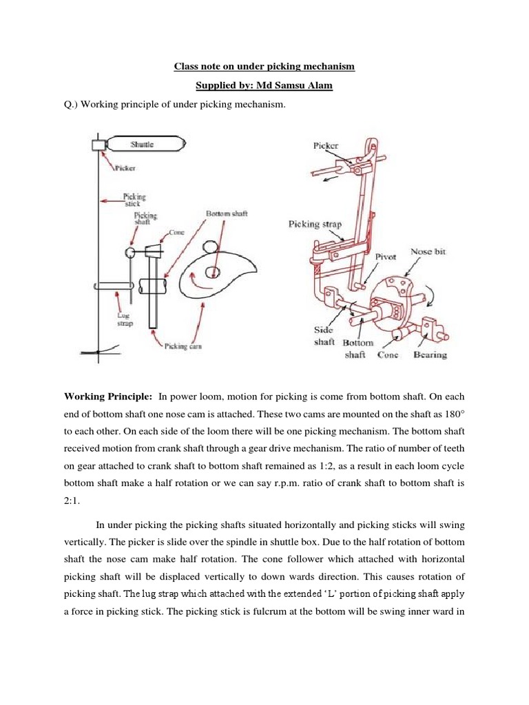 Cone Under Picking | PDF