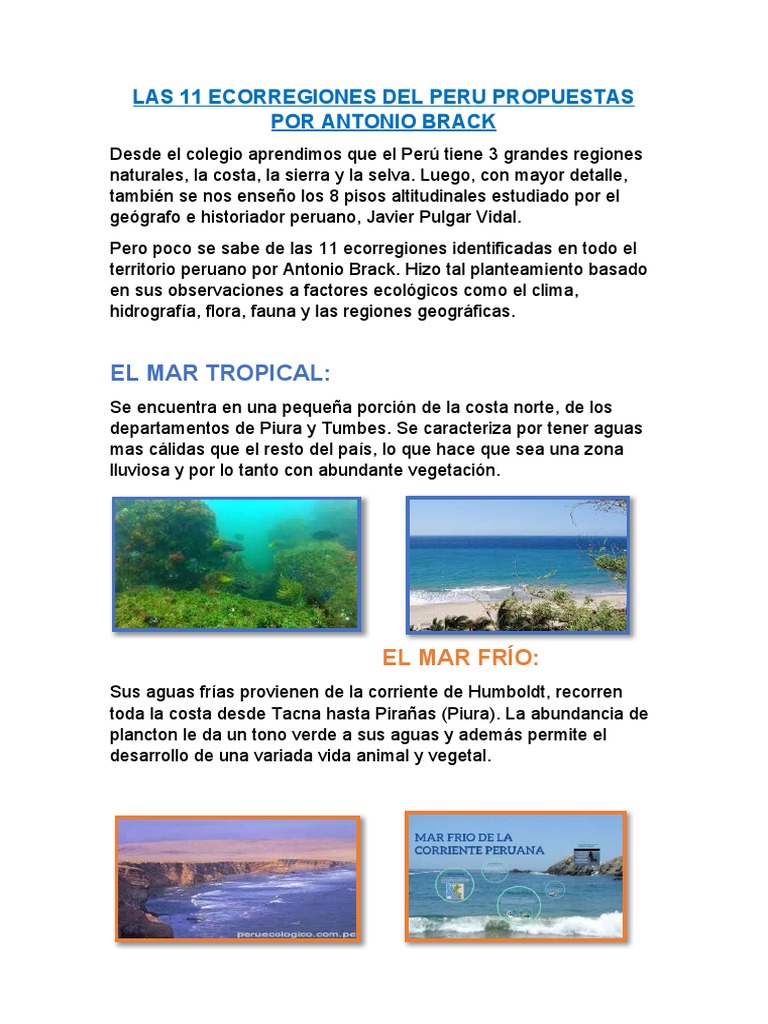 Las 11 Ecorregiones Del Peru Propuestas Por Antonio Brack | PDF
