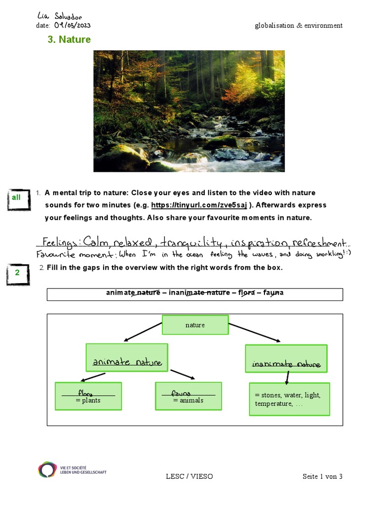 Worksheet - Nature 1 | PDF | Nature | Natural Environment