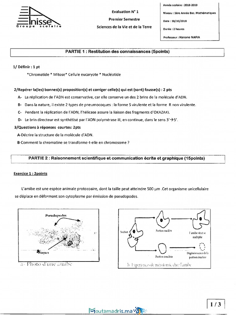 Devoir SVT 1bac SM International FR s1 3 | PDF