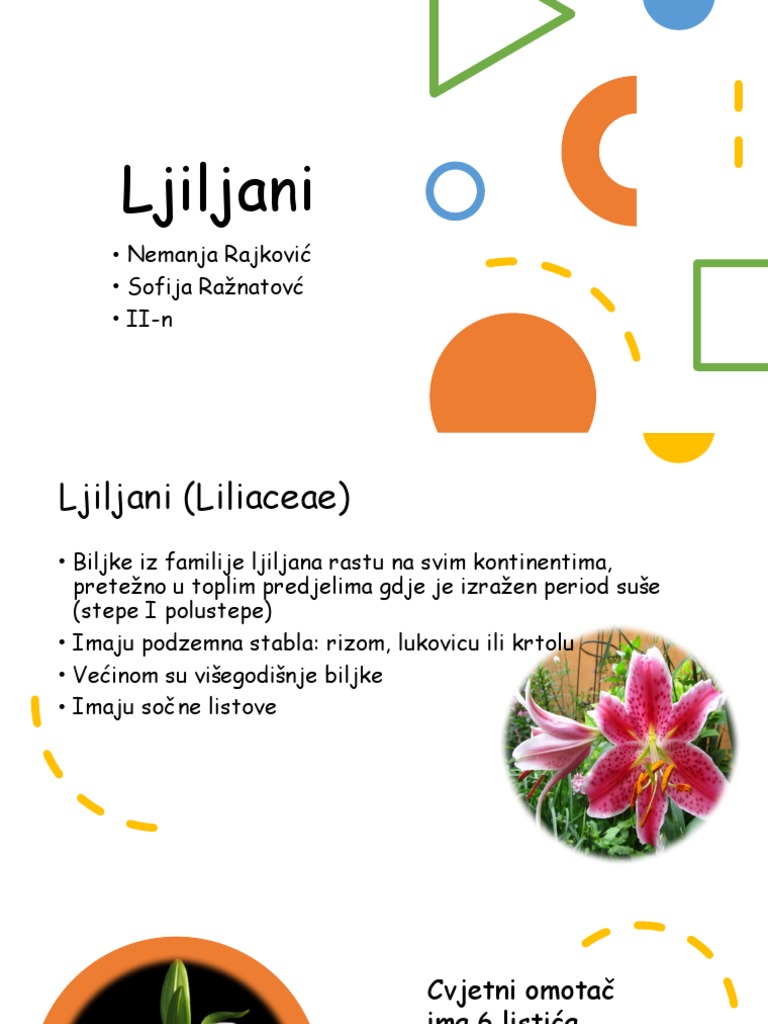 Ljiljani Prez | PDF