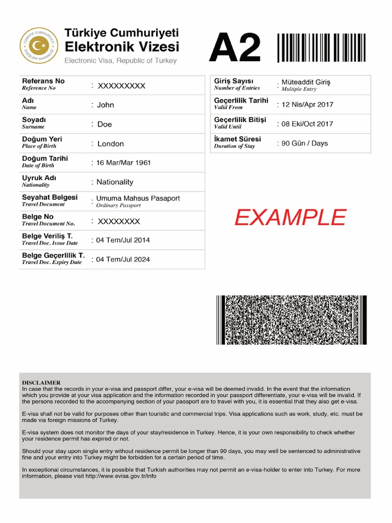 Visa Turkey Example | PDF
