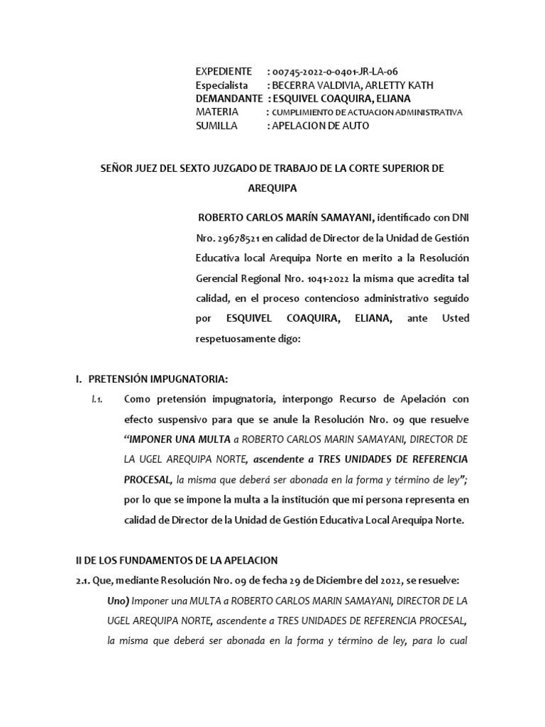 Modelo 745 | PDF | Apelación | Ley constitucional