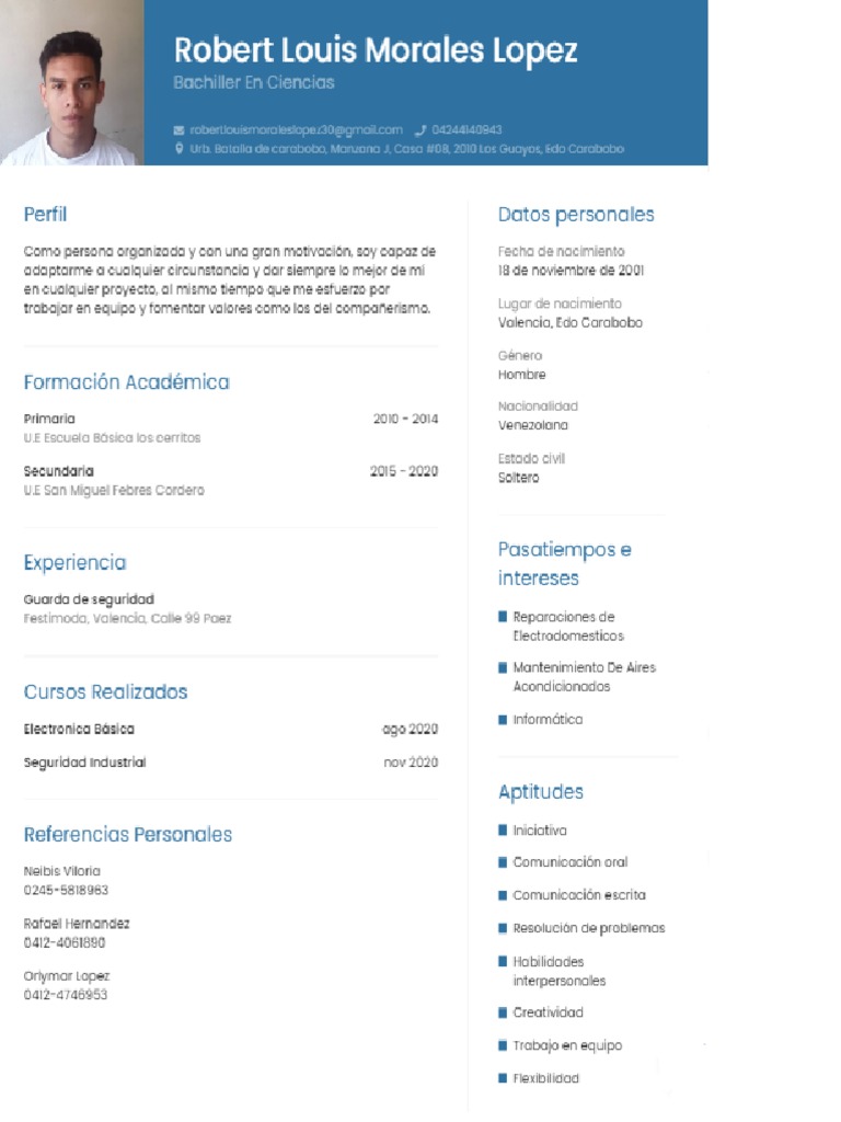 Cv ejemplo | PDF
