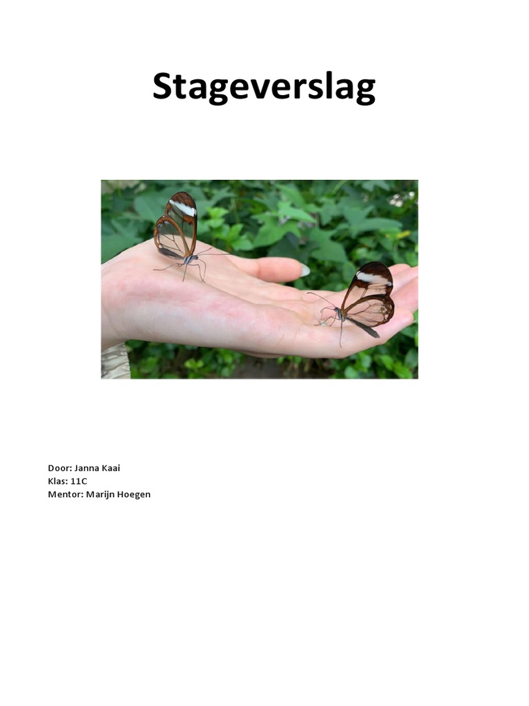 Stage Onderzoek Verslag | PDF