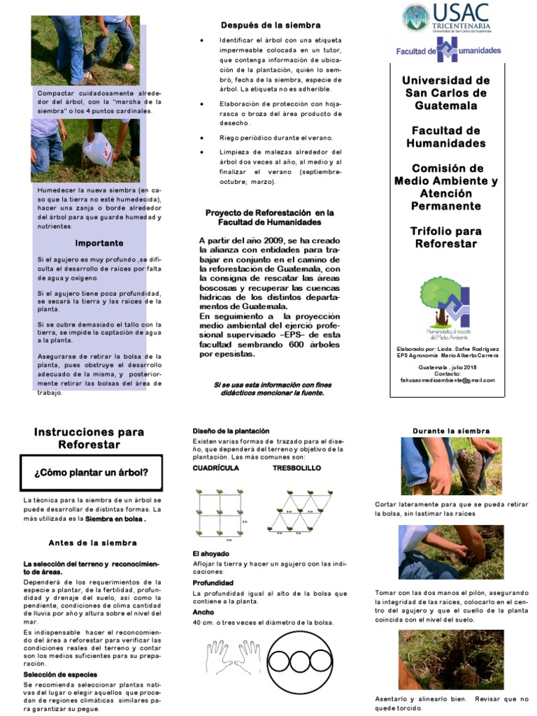23 Trifolio Reforestación Com Medio Ambiente FAHUSAC | PDF