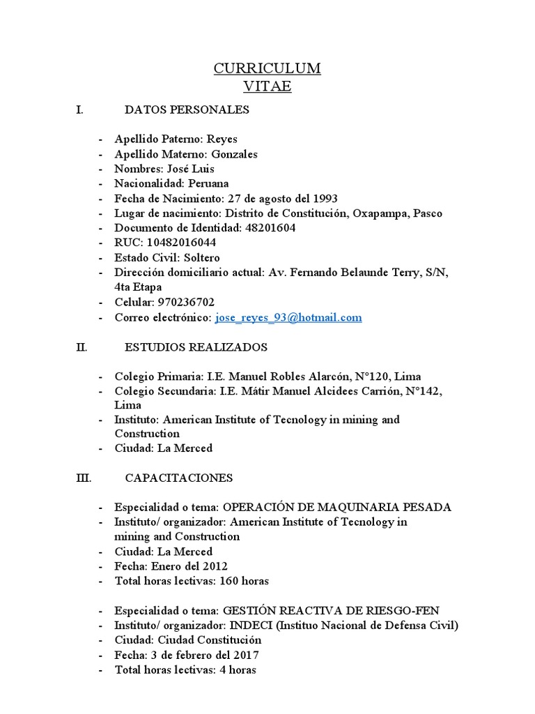 Curriculum Vitae - Jose Luis Reyes | PDF
