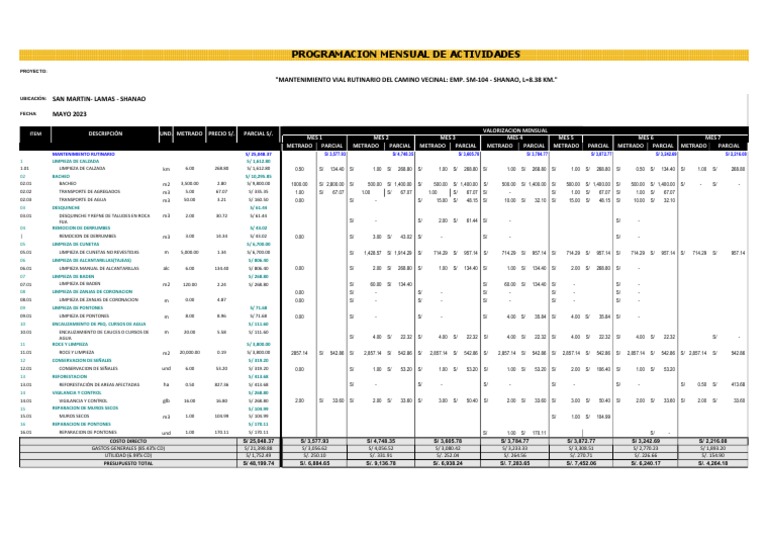 Programacion Mensual | PDF