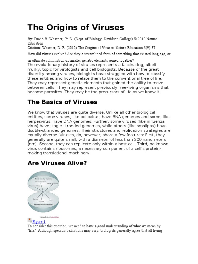 The Origins of Viruses | PDF | Retrovirus | Virus