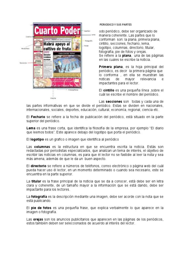 Periodico y Sus Partes | PDF