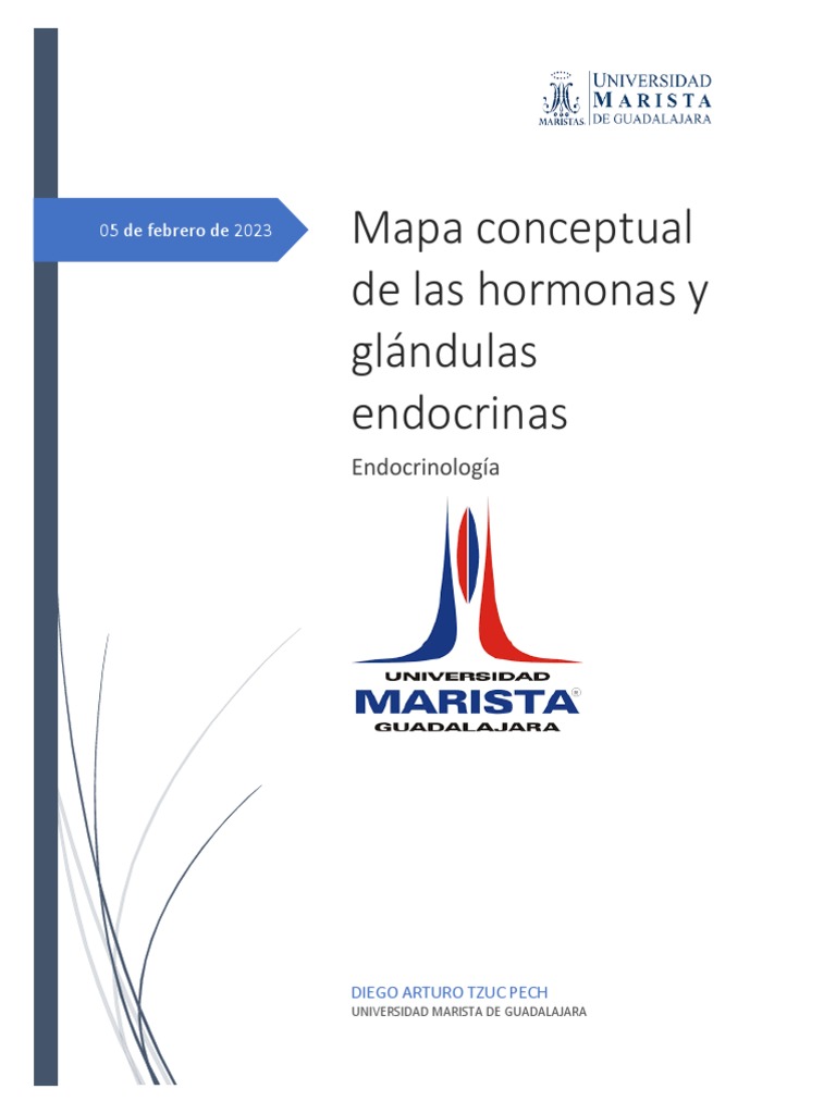 Mapa Conceptual de Hormoas y Glandulas | PDF