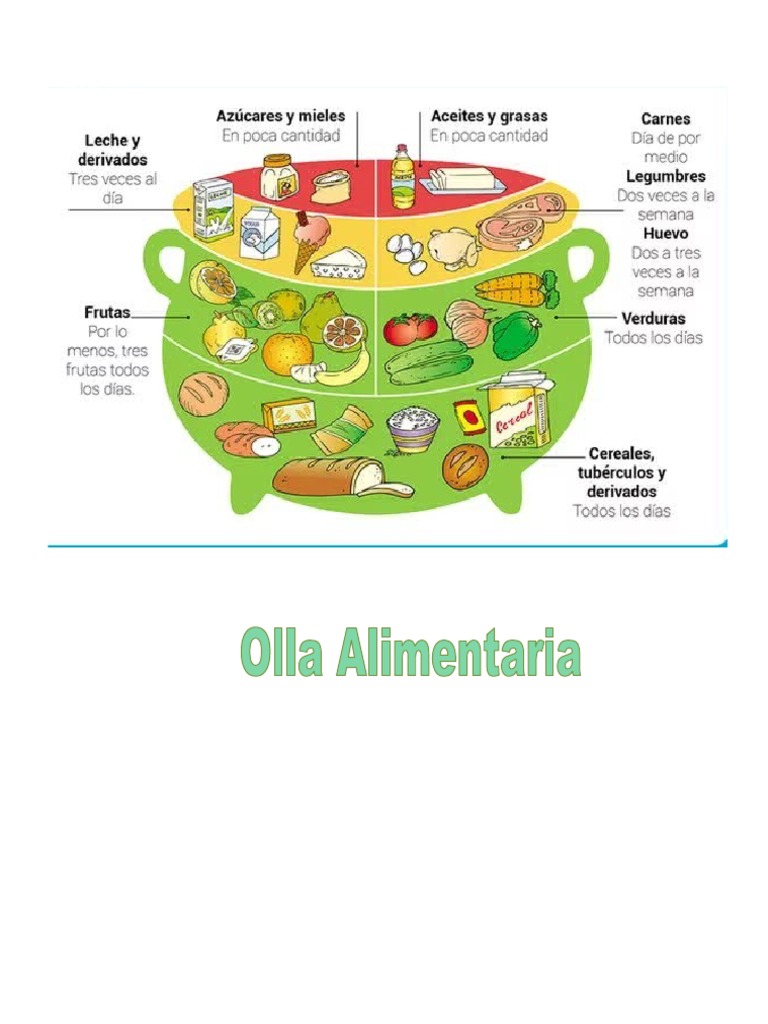 Olla Alimenticia | PDF