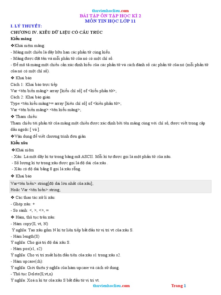 De Cuong On Thi HK2 Tin 11 | PDF