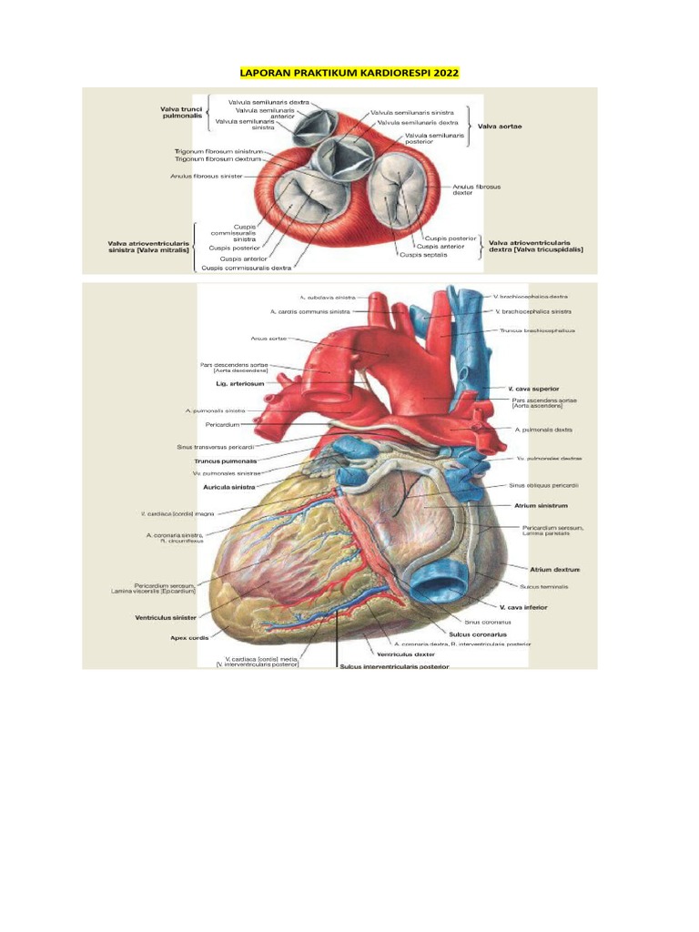 LAPORAN PRAKTIKUM KARDIORESPI 2022 | PDF