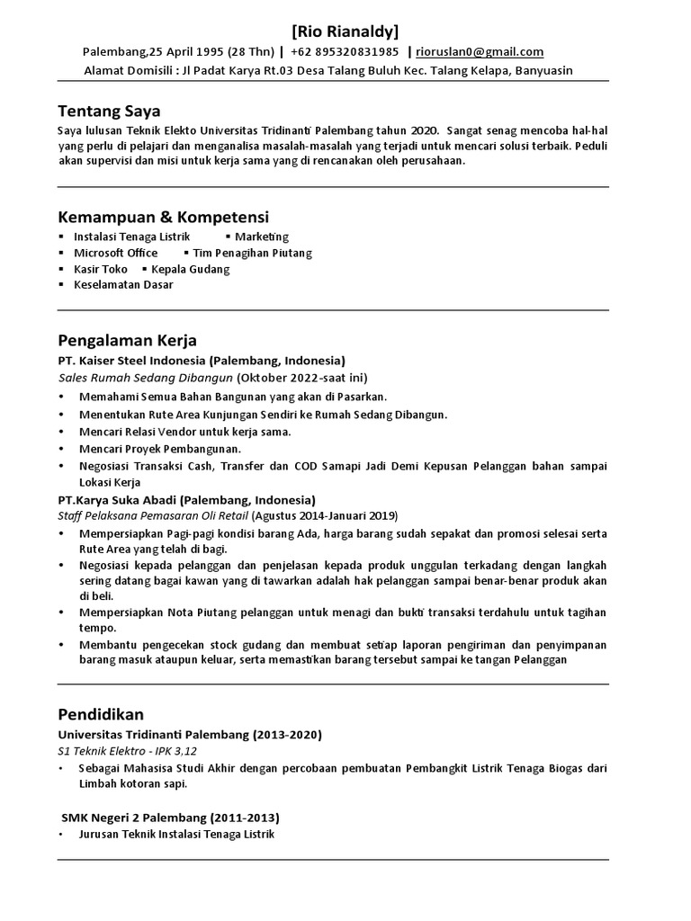 CV Rio Rinaldy | PDF