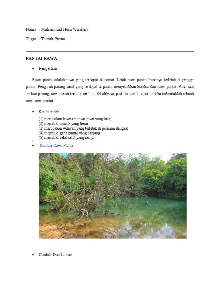 Teknik Pantai Rawa | PDF