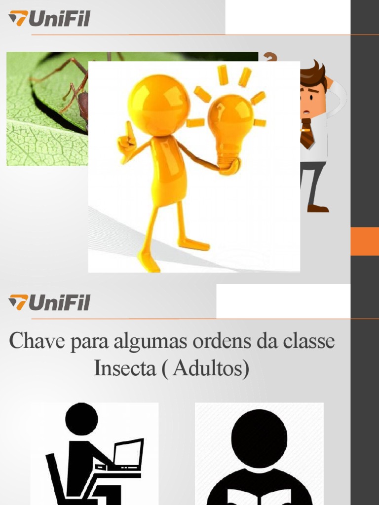 Entomologia, Chave | PDF