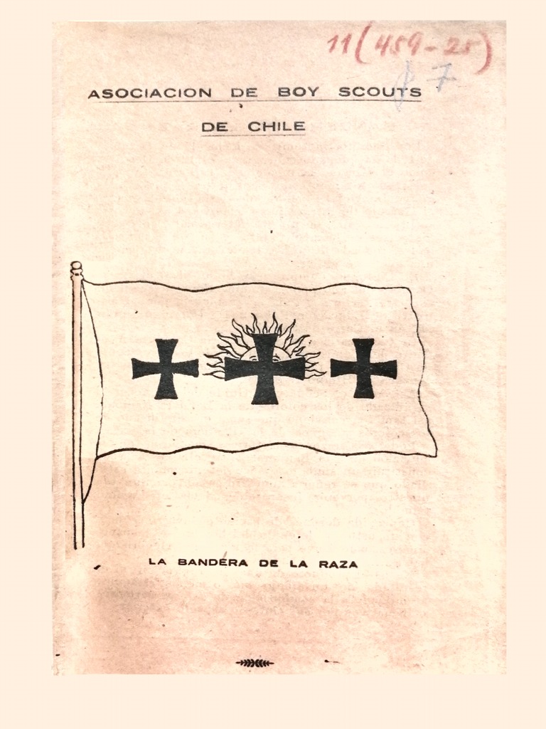 La Bandera de La Raza - Asociación de Boys Scouts de Chile | PDF