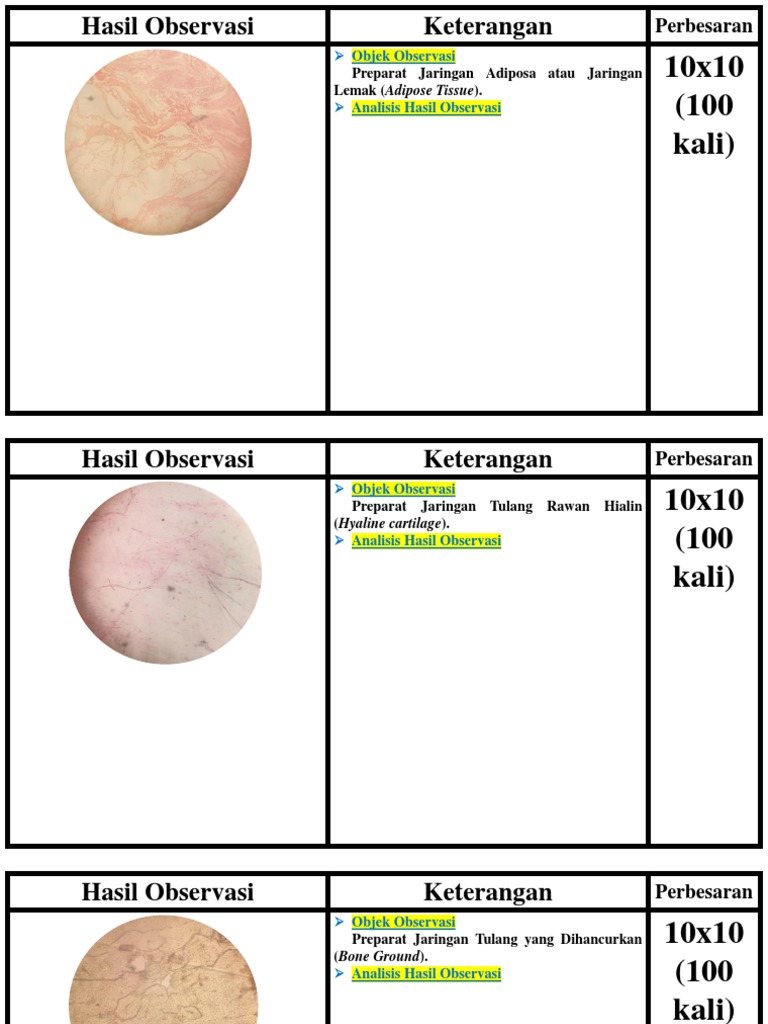 Observasi Jaringan Adiposa, Kartilago Hialin, Dan Bone Ground | PDF